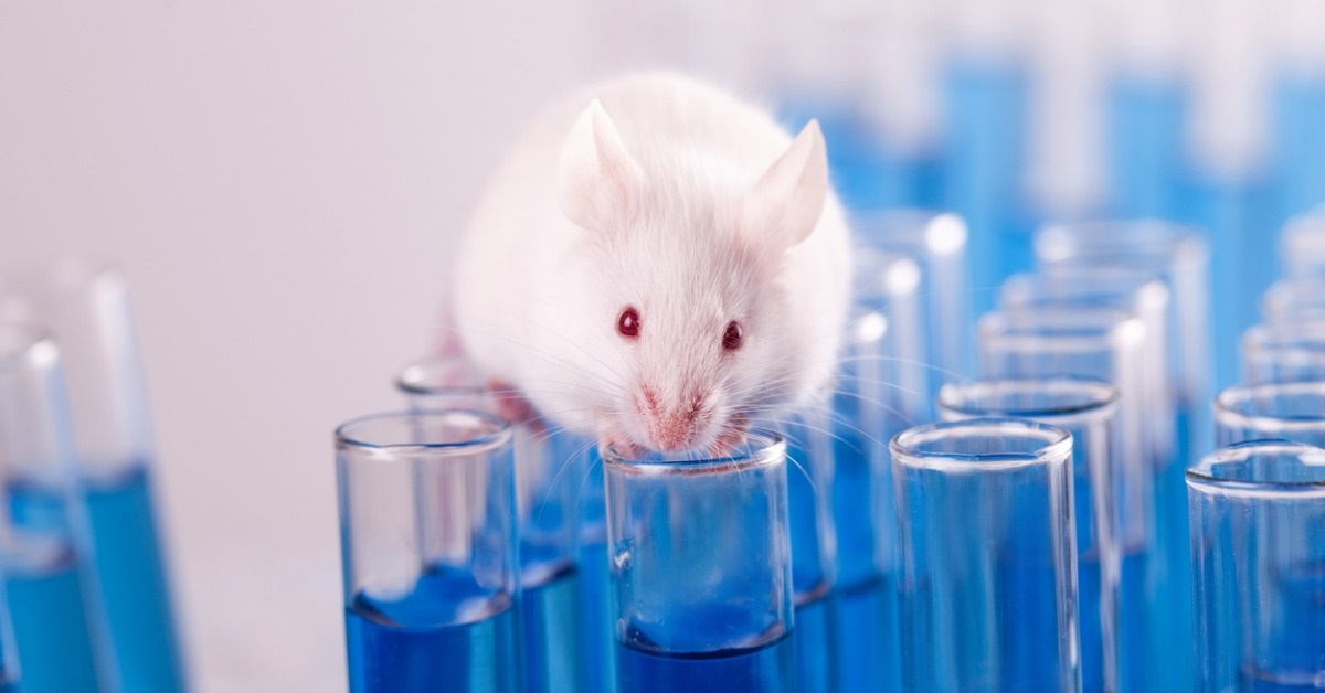 EPA to Eliminate All Animal Testing by 2035