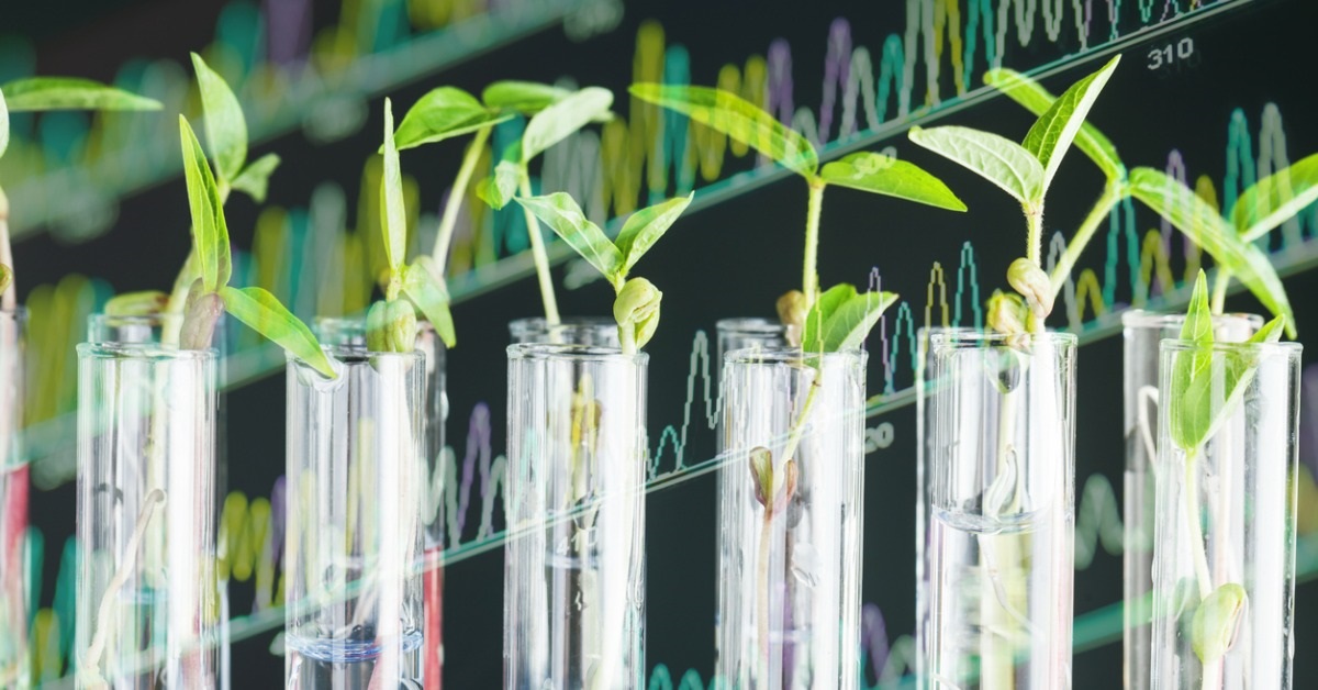 Genetic Engineering Tools Allow for More Easily Modified Plants