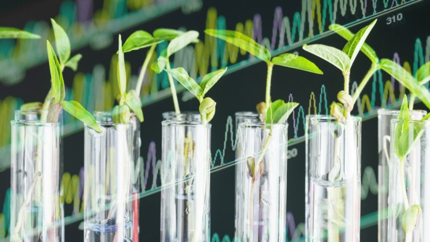 Genetic Engineering Tools Allow for More Easily Modified Plants