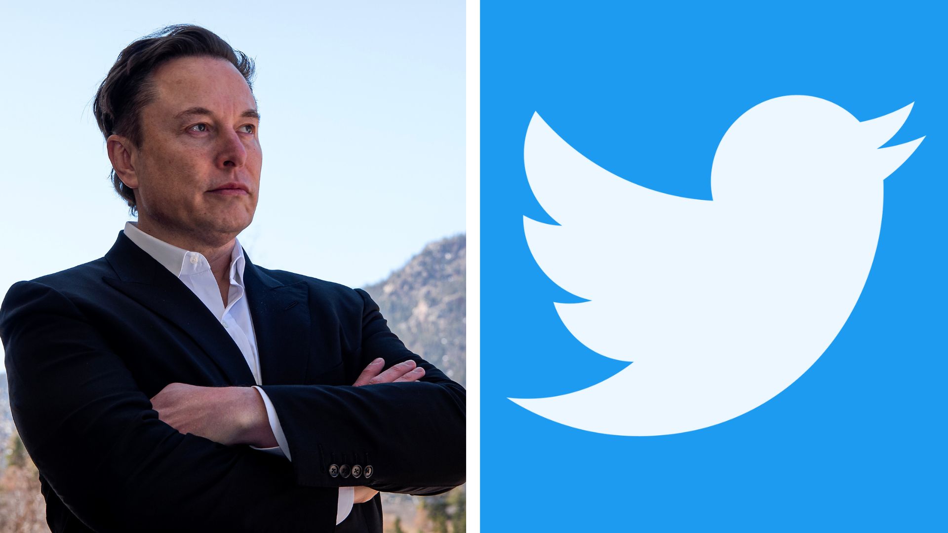 Elon Musk doesn't care about being Twitter's CEO, but expects people to ...