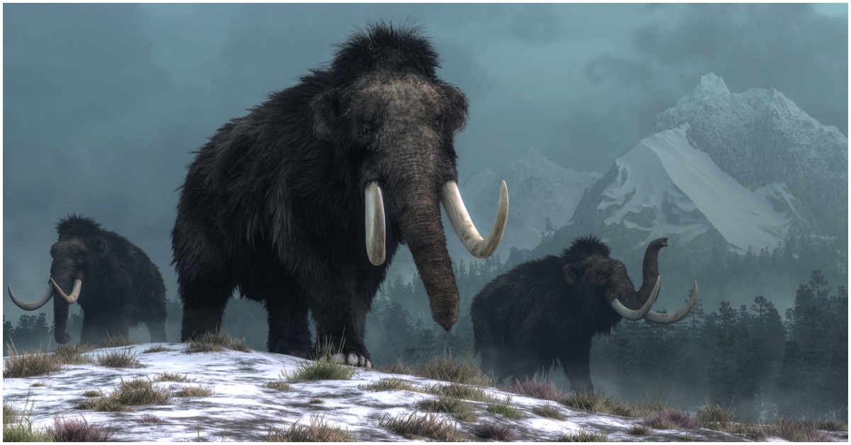 What Caused the Ice Ages? Tiny Ocean Fossils Offer Key Evidence