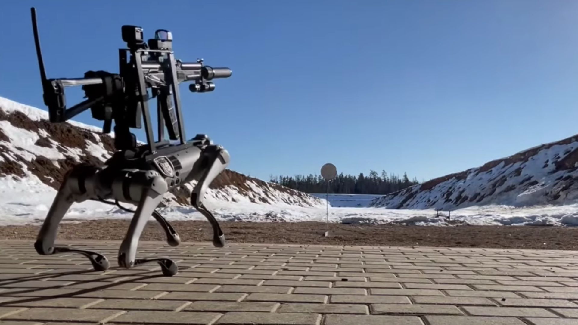 Video of robot dog with gun goes viral. Should you be worried?
