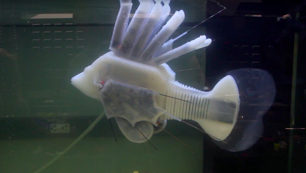 Robotic Fish Is Now Powered by 'Robot-Blood' for Greater Autonomy