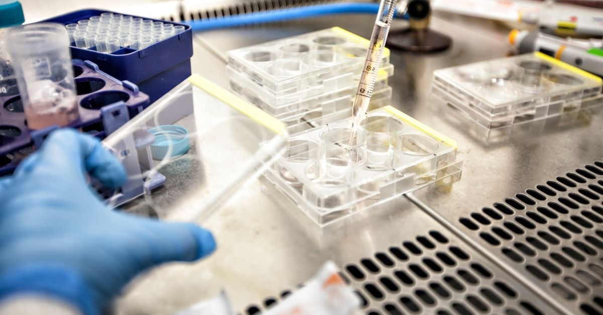 New Vaccine Keeps Cancer Under Control for Four Years | IE