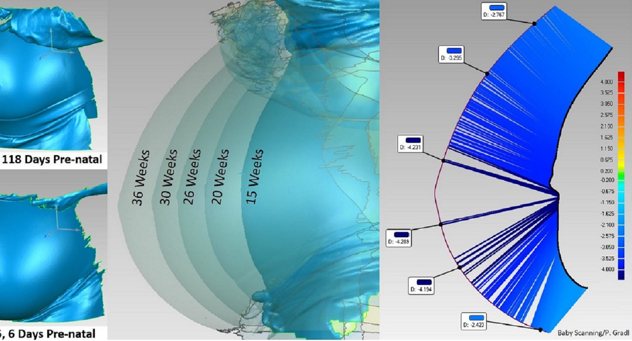 A NASA Engineer Modeled the Stages of His Wife's Pregnancy. With 3D ...